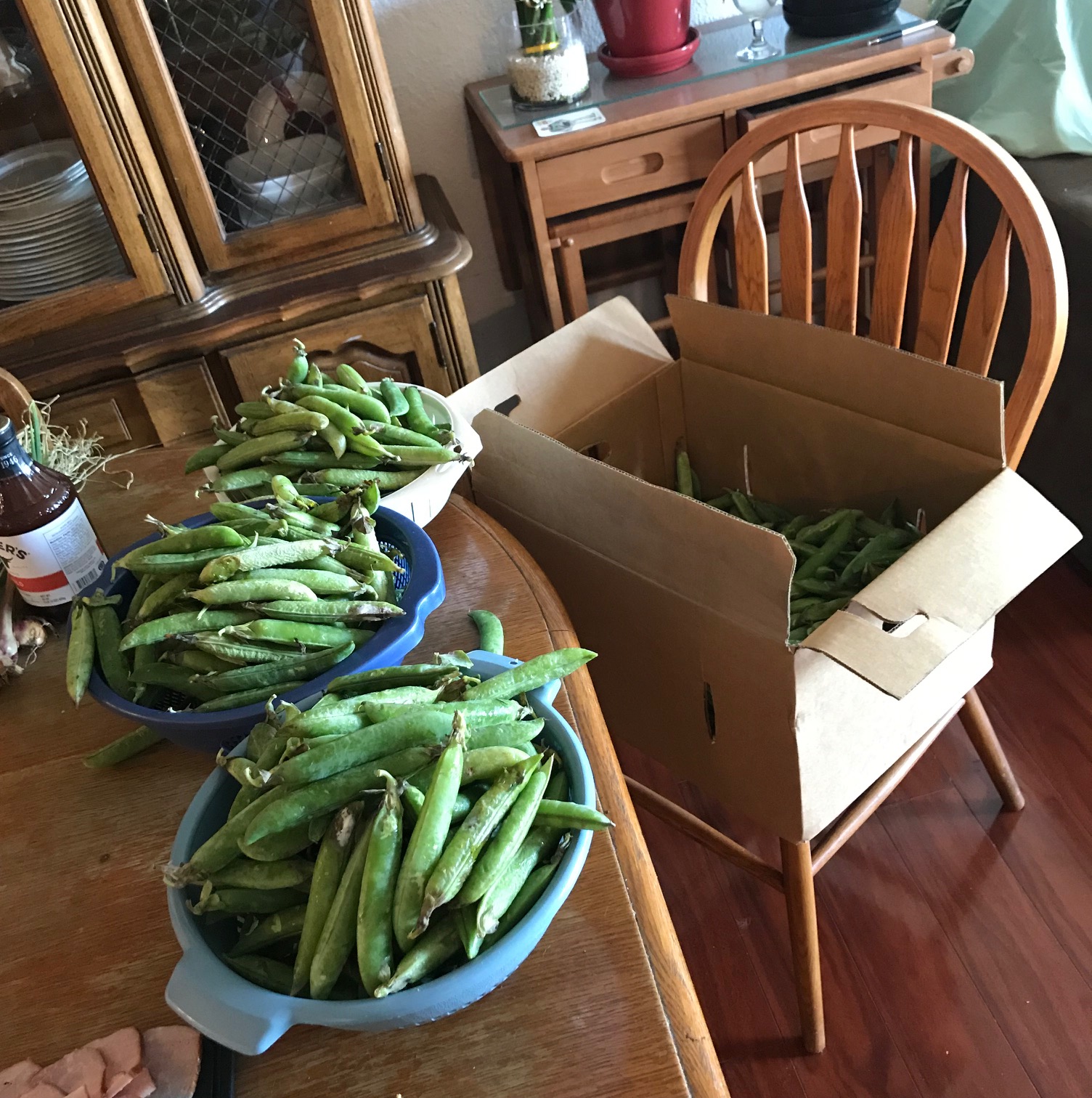 Freezing Peas – Easy Peasy! | Cook Plant Meditate